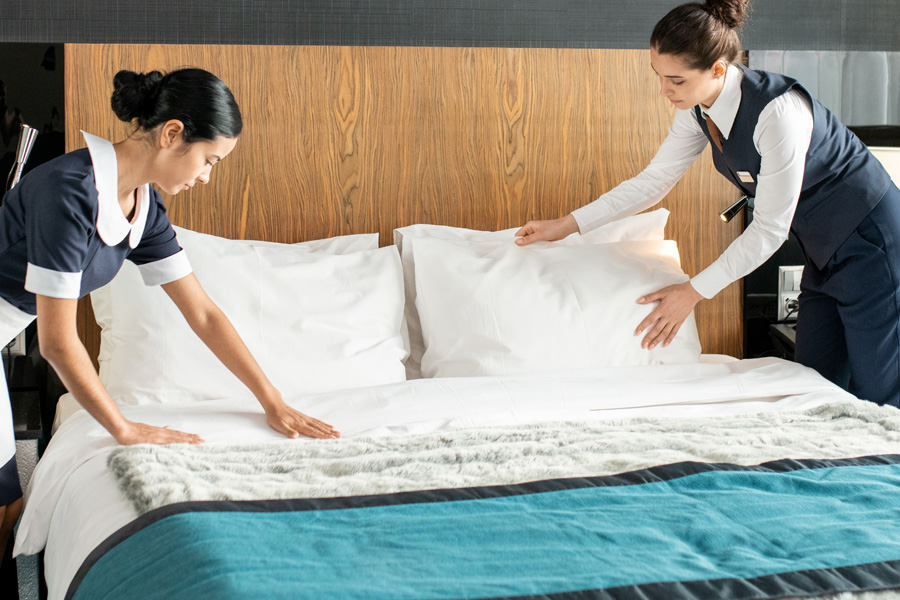 Servicios - Palvi de México