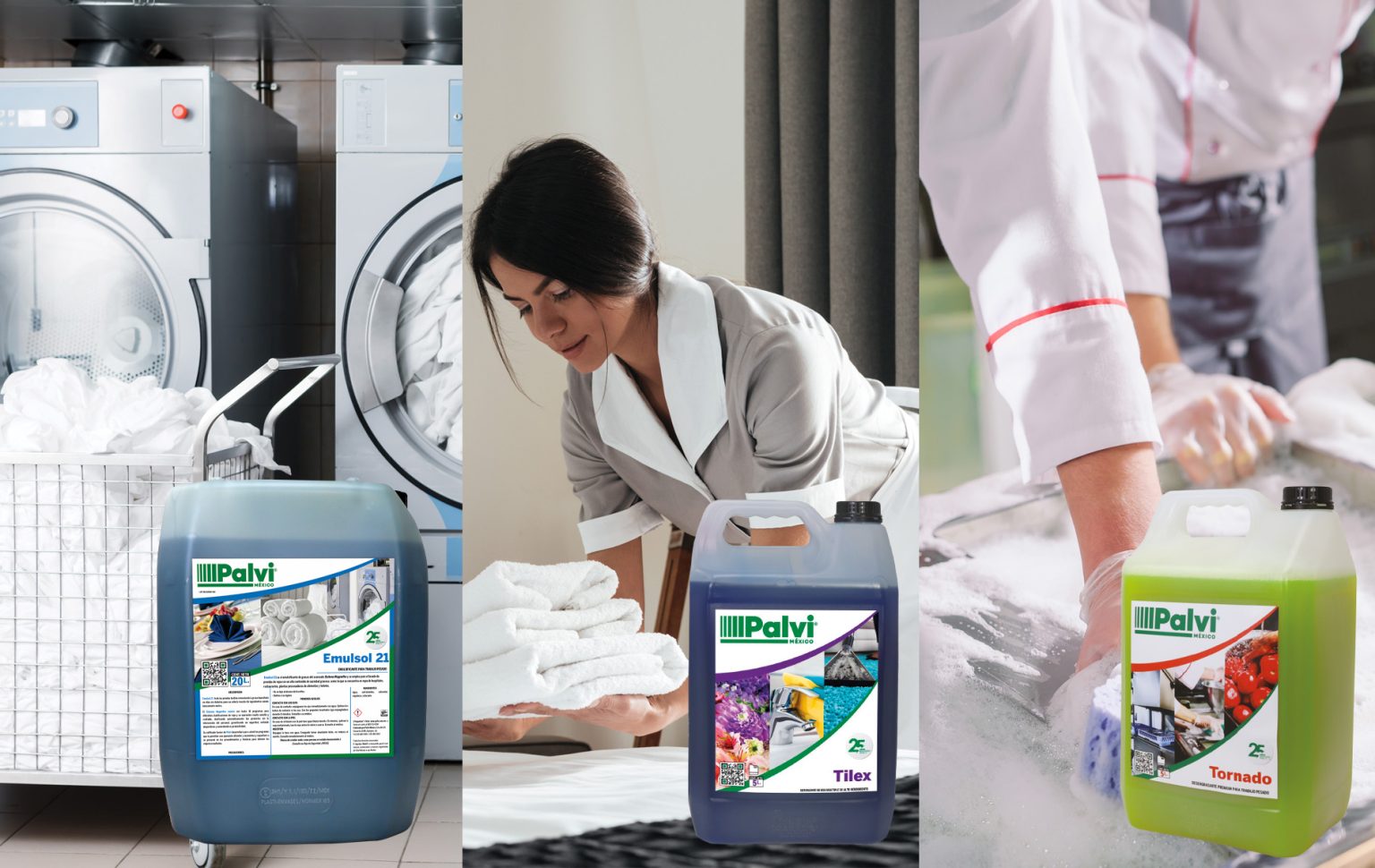 Conócenos - Palvi de México